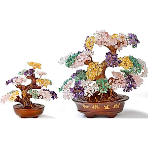 Multicolor Bonsai Tree Pair