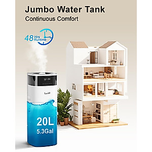LACIDOLL Humidifier Large Room 5.3Gal/20L - Cool and Warm Mist Humidifiers for Home 3000 sq ft, Air Humidifiers for Bedroom with Diffuser&Extended Tube, Whole House Humidifiers for Nursery Baby Plants
