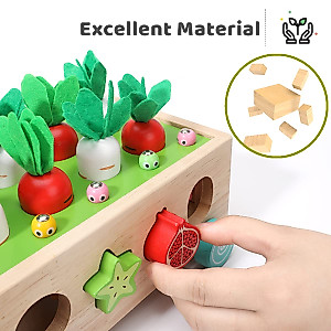 Rexinc Montessori Toys for 1,2,3,4 Year Old Toddlers Boys and Girls,Gifts for 2 Year Old Girls Wooden Educational Sorting Toys,Preschool Learning Gift Carrots Harvest Game Fine Motor Skill