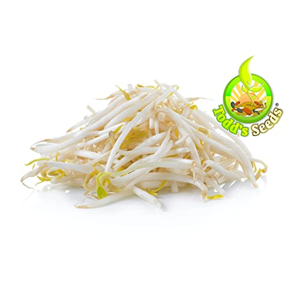 Todd’s Seeds - Mung Bean Sprouting Seed - Mung Bean Seeds - Chinese Green Bean - 1 Pound Bulk Seeds