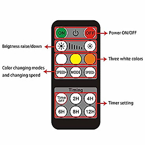 Outdoor Uplights, 12V LED Garden Spot Lights, IP66 Waterproof Landscape Lighting Outside Spotlights Warm White Cool White Timer Auto ON/Off Spiked Stand Yard Lawn House Tree Pathway Lamp, 6 in Set