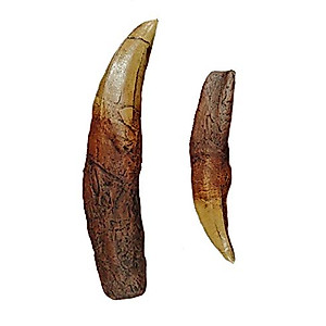 Tyrannosaurus Rex - T-Rex - Tooth w/Root Replica - 7.25"