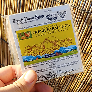 Havongki 100pcs Premium Fresh Farm Eggs Handling Instructions Care Accessories Cards Labels | Egg Blank Cartons 4 6 12 15 18 30 48 50 Count Basket Box Container Storing Extra Organizer (M03-1CH)