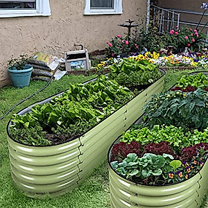 OLLE Galvanized Raised Garden Bed Elevated Raised Garden Bed Metal 17" Tall 12-in-1 Grow Herbs and Vegetables Home Garden for Outdoor Backyard, Sage Green 17" Tall
