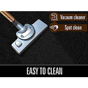 HOMORE Luxury Fluffy Area Rug Modern Shag Rugs for Bedroom Living Room, Super Soft and Comfy Carpet, Cute Carpets for Kids Nursery Girls Home, 4x6 Feet Black