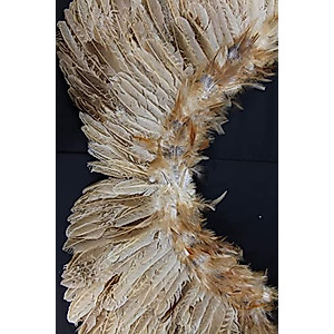 Nature Brown Turkey and goose Feather, Angel Wings Costume, Party, Photography Fun Dress Up Angel Wing (Nature -002)