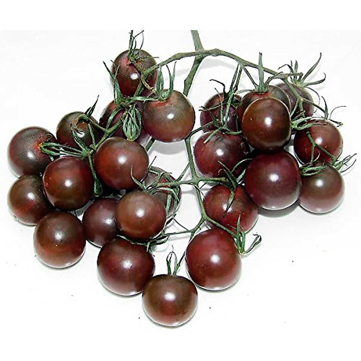 30+ Black Cherry Tomato Seeds, Heirloom Non-GMO, Low Acid, Indeterminate, Open-Pollinated, Sweet, Productive, from USA