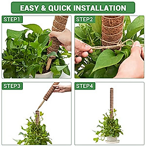 Moss Pole for Plants Monstera, Extra-Long 115 inch Moss Stick for Climbing Plants, 4 Pcs 20.5" and 2 Pcs 16.5" Coco Coir Pole for Indoor Potted Plants Grow Upwards, Totem Pole Plant Support