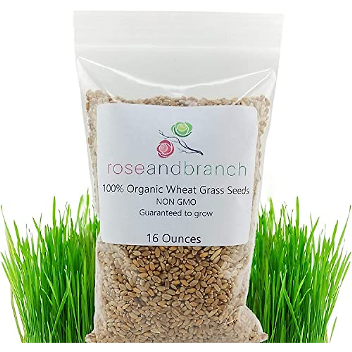 Organic Wheat Grass Seeds, Cat Grass Seeds, 16 Ounces- 100% Organic Non GMO - Hard Red Wheat. Harvested in The US. Easy to Grow Green