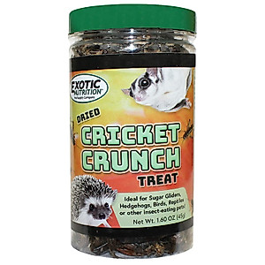 Cricket Crunch (1.6 oz) - All Natural Healthy High Protein Insect Treat - Chickens, Birds, Hedgehogs, Bluebirds, Reptiles, Sugar Gliders, Opossums, Skunks, Lizards, Fish, Turtles, Amphibians (1.6 oz.)