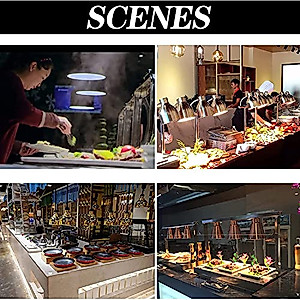 Double Head Multi-Directional Adjustment Catering Food Warmer Lights, Commercial Food Warmer Buffet Server for Parties Buffets, 360° Bend Buffet Food Warmer Restaurant Food Service,Silver