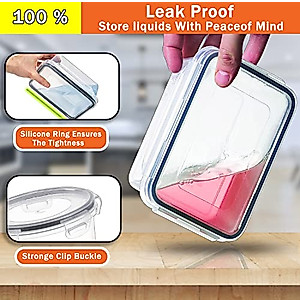 Food Storage Containers Lids set [32 Pack - 16 Container + 16 Lids], RKINC BPA-Free Plastic Airtight, Leak Proof Meal Prep Container for Pantry Organization, Dishwasher, Microwave and Freezer Safe (16