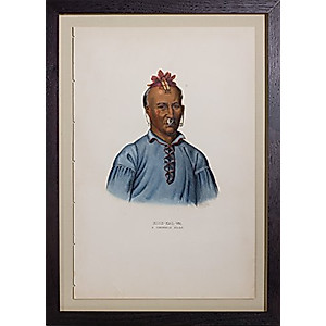 Kish-Kal-Wa, A Shawanoe Chief