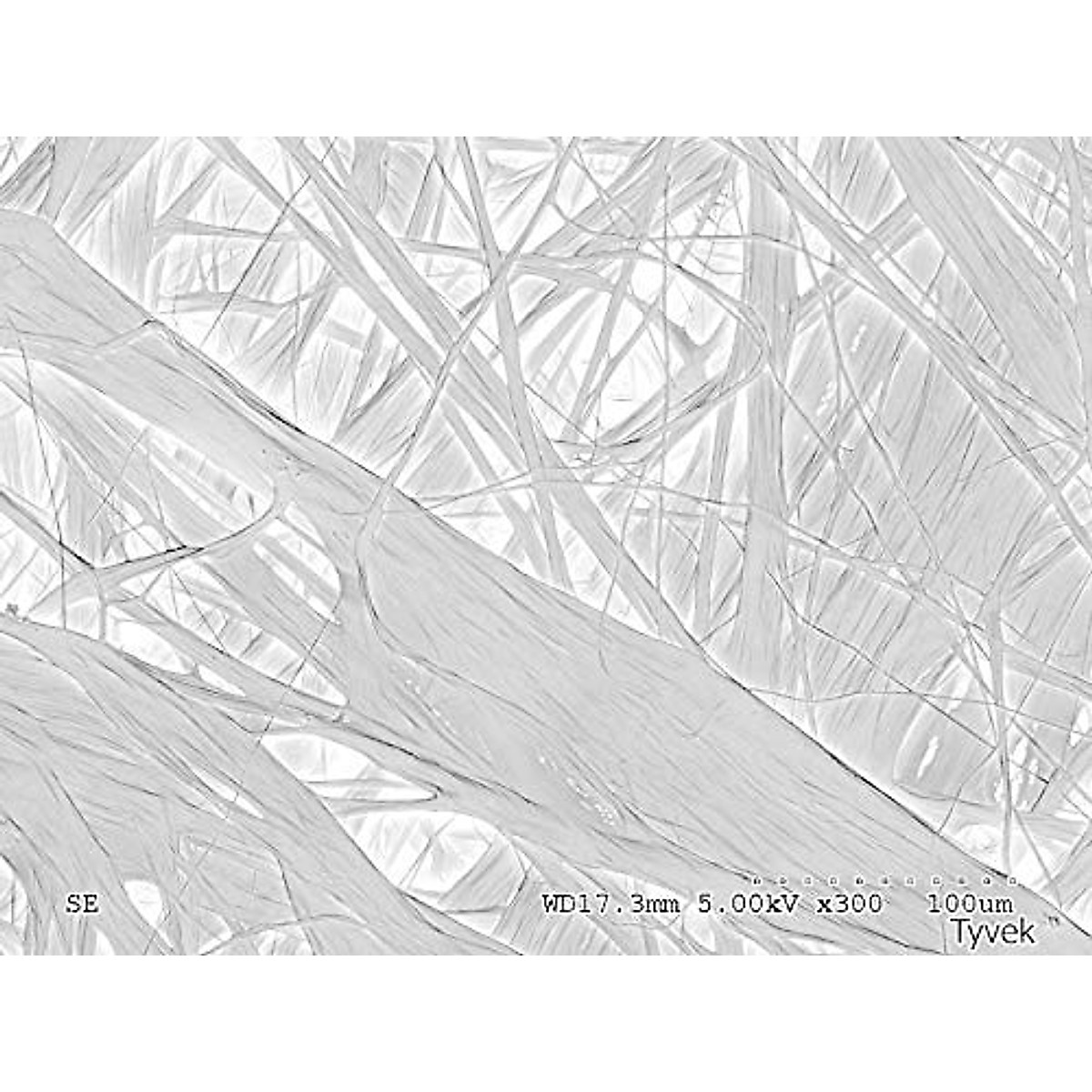 mighty wallet LA Ocean Tyvek Wallet | Paper Wallet | minimalist wallet