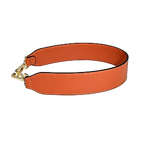 Reason Charm Purse Straps Replacement PU Leather Handbags Strap Shoulder Bag Straps Phone Pendant (Brown)