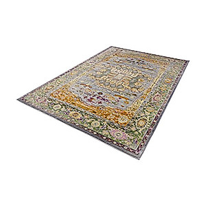 Pierre Cardin Cosmos Collection Oriental Design Area Rugs for Living Room Carpets (5' x 8', Multi (CS18A))