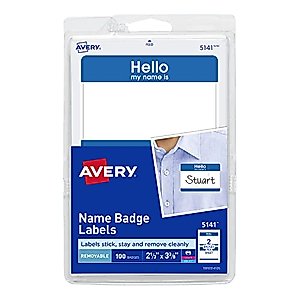 Avery Hello My Name Is Name Tags, White with Blue Border, 100 Removable Name Badges (05141)