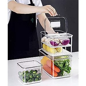 SANNO Vegetable Fruit Storage Containers, Produce Saver Containers Refrigerator Storage Containers Fresh Produce Saver with Lids and Vents,Stackable Salad Lettuce Keeper for Refrigerator