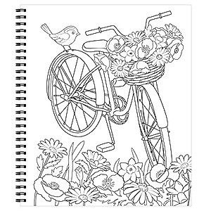 Large Print Easy Color & Frame - Garden (Stress Free Coloring Book)