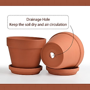 INGOFIN Terracotta Pots Set with Saucer - 2-Pack Ceramic Clay Planters with Drainage Hole, Garden Flower Succulent Pots with Tray for Indoor Outdoor Plants, 8 inch, Set of 2