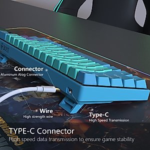 BOYI 60% Cherry MX Switch Green Mini Mechanical Keyboard, 61 Key Mini RGB PBT Keycap Type-C Wired NKRO Programmable Mechanical Gaming Keyboard(Cherry MX Brown Swtich)