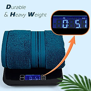 Cleanbear Cotton Hand Towel Thick Bathroom Hand Towels - 2 Pack (Peacock Blue), 13 x 28 Inches