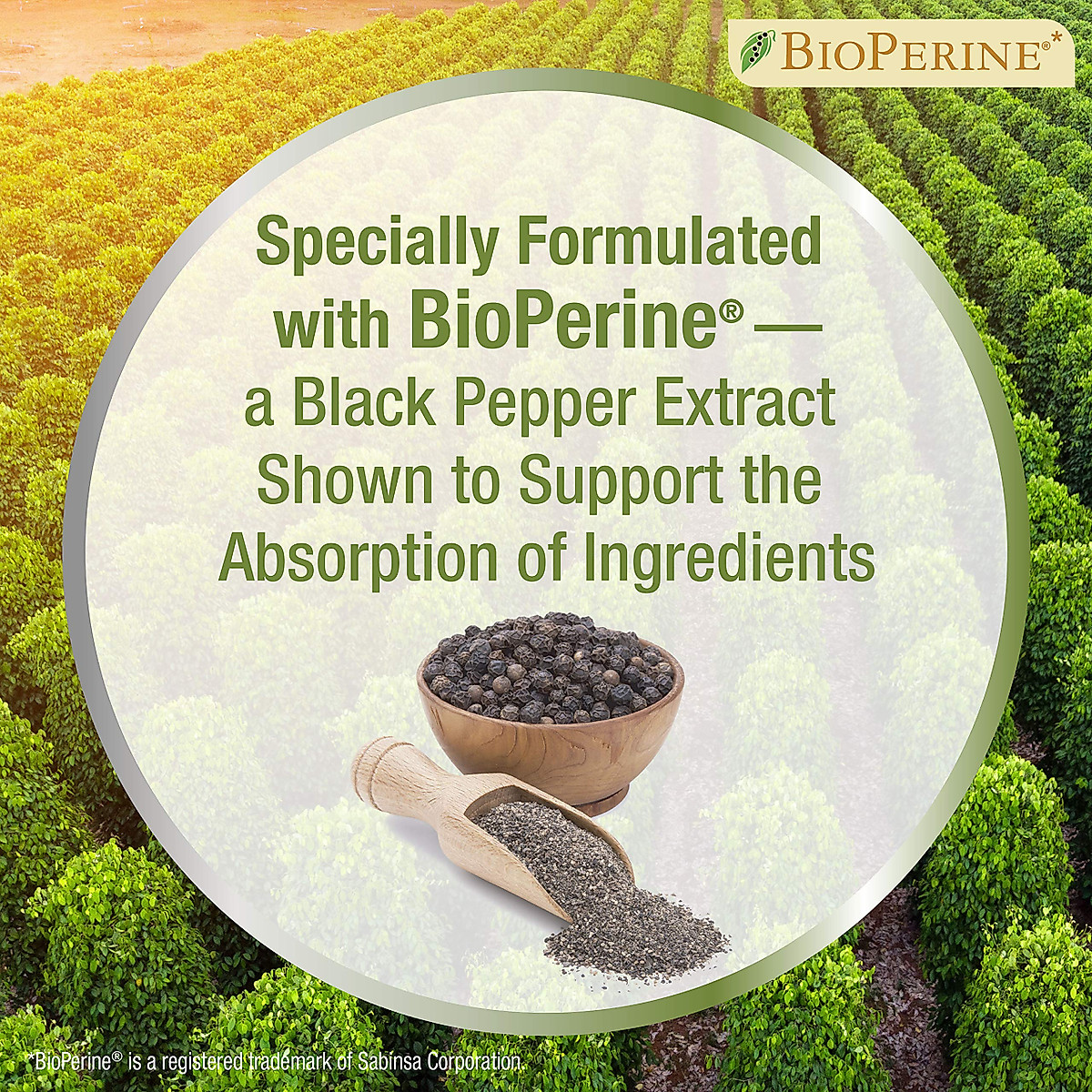 Four Paws Healthy Promise Calming Chews for Dogs 90 Count