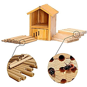 POLLIBEE Mason Bee House Wax Coated Wooden Bee Hotel Waterproof Beehouses