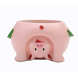 Youfui Cute Animal Flowerpot Animal Resin Succulent Planter Desk Mini Ornament (Pig)