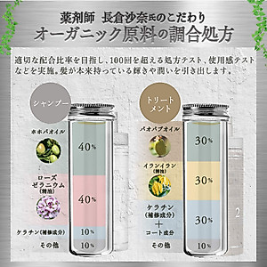 Vicrea Mixim Potion Repair Shampoo K