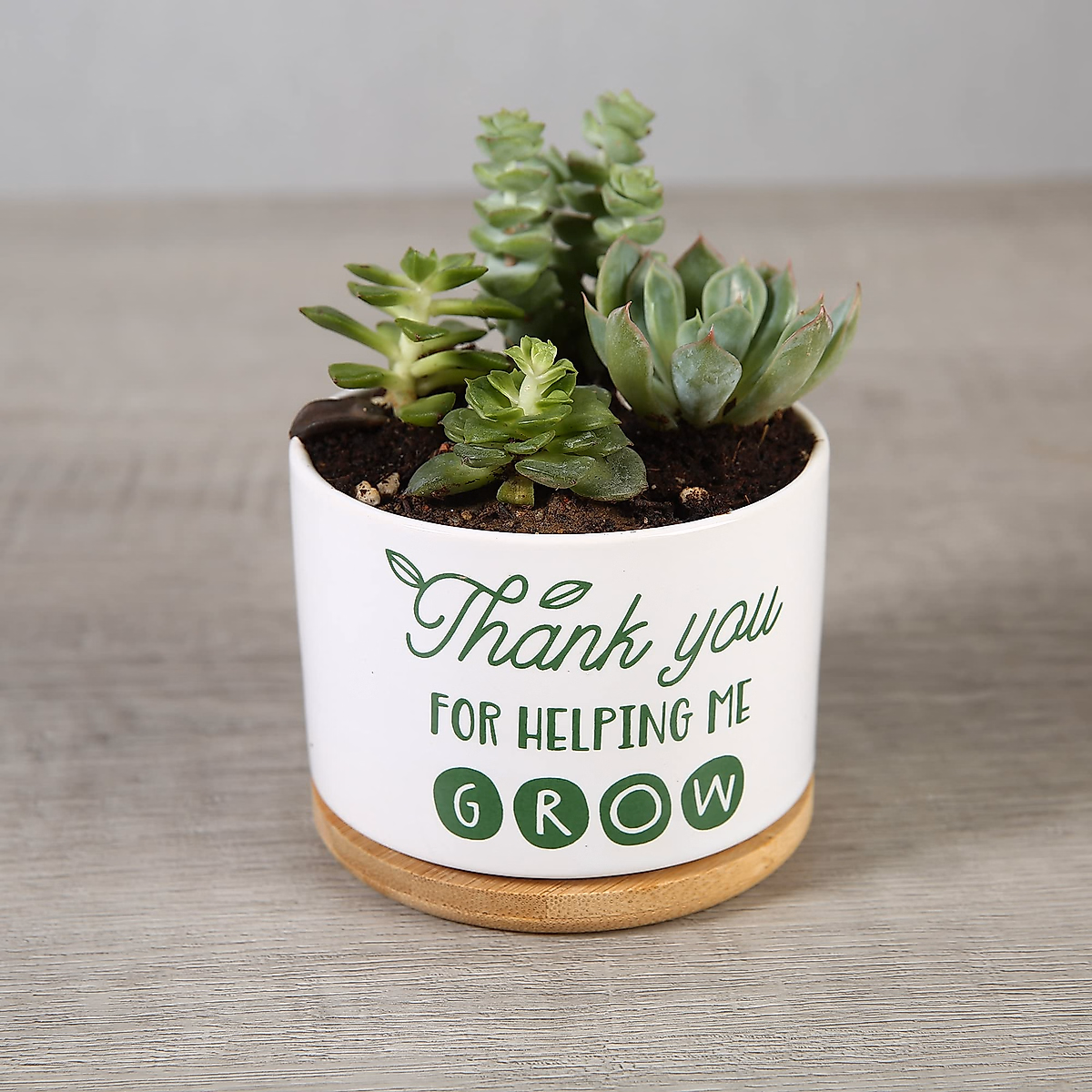 DOMG Teachers Appreciation Gift, Ceramic Succulent Plant Pot Small Flower Planter for Indoor Outdoor Use, Thank You for Helping Me Grow