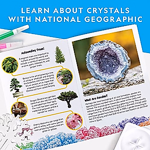 NATIONAL GEOGRAPHIC Craft Kits for Kids - Crystal Growing Kit, Grow 6 Crystal Trees in Just 6 Hours, Educational Craft Kit with Art Supplies, Geode Specimen, STEM Arts & Crafts Kit (Amazon Exclusive)
