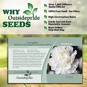 Outsidepride Dianthus Caryophyllus Carnation White Garden Cut Flower Seeds - 2000 Seeds