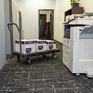 Akro-Mils Versa/Deck Push Dolly Cart with Wheels, Reinforced Plastic Platform Hand Truck with Removable Handle, 6" Non-Marking Polyurethane Casters, 2000-Pound Capacity, 24" x 48", Black R90182A1411