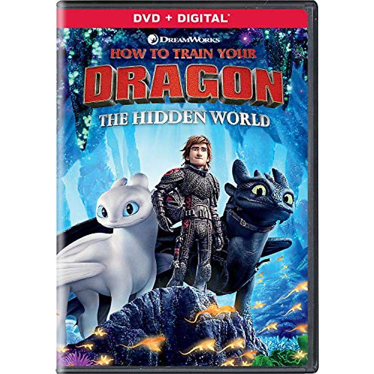 How to Train Your Dragon: The Hidden World [DVD]