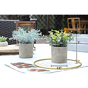 Miracliy Mini Potted Fake Plants Faux Artificial Eucalyptus Boxwood Rosemary Greenery in Gray Pots for Home Office Desk Bathroom Decoration Garden Decor, Indoor & Outdoor,Set of 4