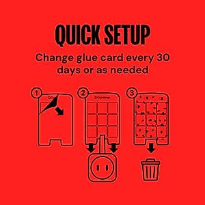 Dynatrap DT3007W Indoor Plug-in Flying Insect Trap for Flies, Fruit Flies, Moths, Gnats, and Other Flying Insects - 1 White Device + 2 Glue Cards