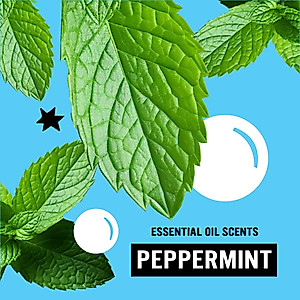 Molly's Suds Original Laundry Detergent Powder | Natural Laundry Detergent for Sensitive Skin | Earth-Derived Ingredients, Stain Fighting | 120 Loads