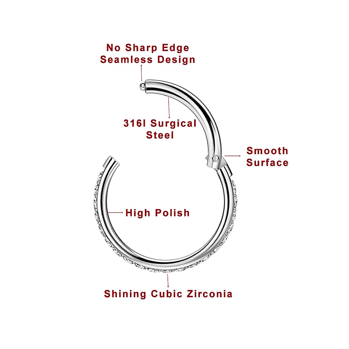 16G Conch Piercing Jewelry CZ Cartilage Earrings Hoop 316L Surgical Steel Nose Hoop 10mm Helix Piercing Jewelry Rook Ring16 Gauge Segment Nose Hoop Ring Segment Helix Rings Earrings Lip Ring Silver