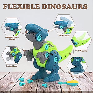 FINOTIC Dinosaur Toys for Kids 3-5 5-7, Take Apart Dinosaur Toy w/Electric Toy Drill for Boys and Girls 3 4 5 6 7 8 Year Old, Educational Building Toy w/Storage Box for Birthday Easter Gift,Set of 5