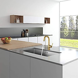 AguaStella AS1010BG Brushed Gold Bar Faucet or Prep Kitchen Sink Faucet with Single Handle