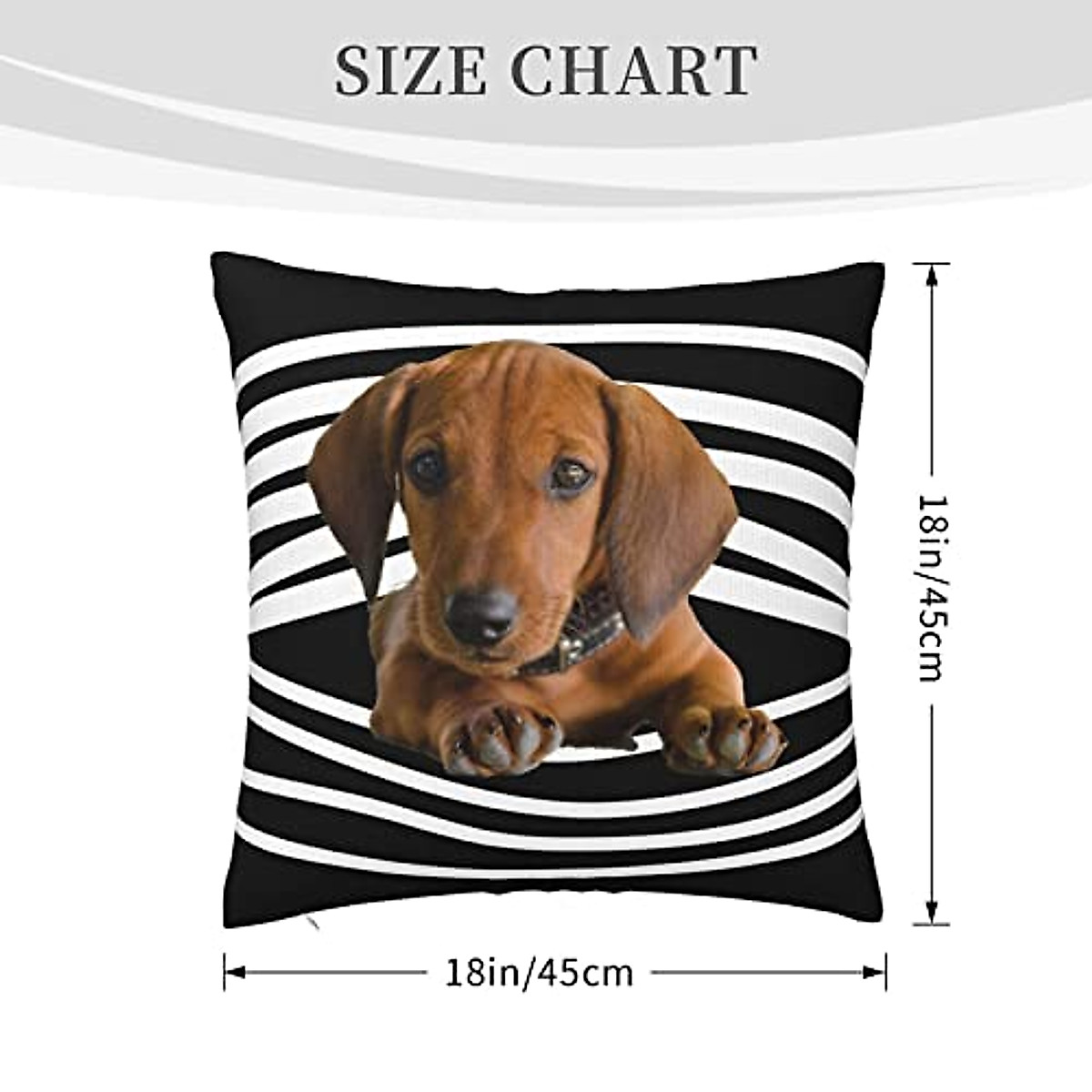 VARUN Square Throw Pillow Covers Cute Dachshund Dog Stripes Design Pillow Cases Decorative for Home Bedroom Sofa Pillowcases Standard Size 18X18 Inch
