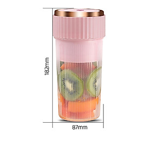 SH-RuiDu Portable Blender, 450ml Personal Size USB Rechargeable Mini Blender Fruit Juicer with 6 Strong Cutting Power Blades for Shakes and Smoothies, Portable Juicer for Home Office Travel Sports