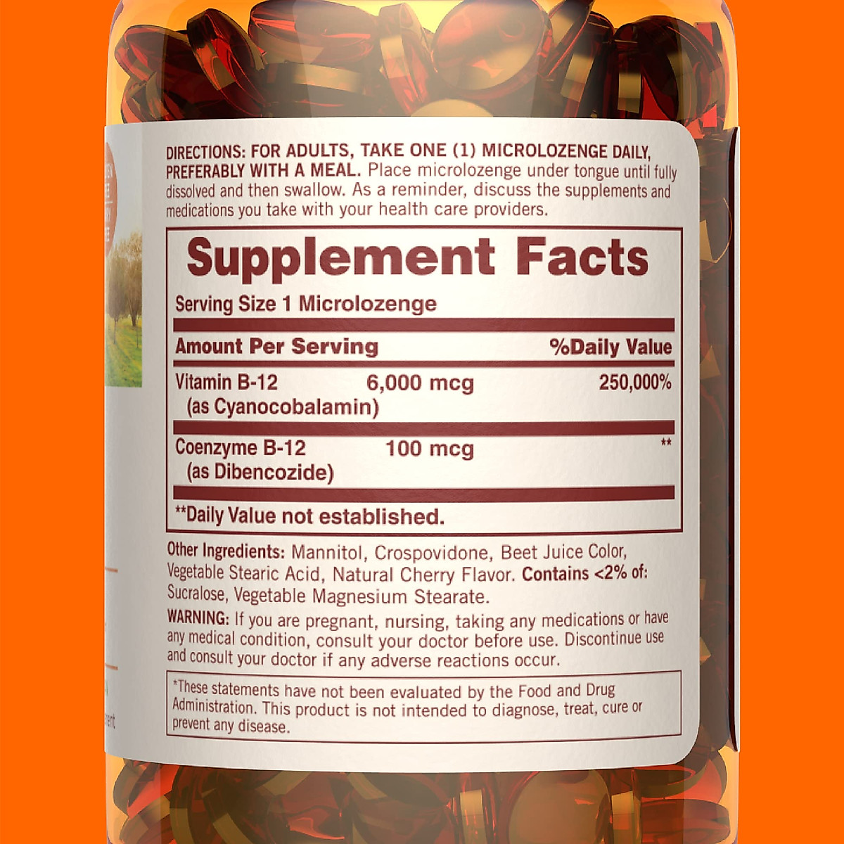 Sundown Vitamin B12 Microlozenges, 6000 mcg, Cherry Flavor, 60 Count