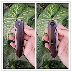 ALBATROSS HGDK005 Black Classic EDC Damascus Folding Pocket Knife, Ebony Wood Handle-Gifts/Collections