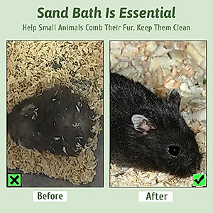 Tfwadmx Hamster Sand Bath Box, Container Transparent Beds, Hamster Bathroom & Digging Room ransparent Acrylic Small Animals Shower Bathtub with Wooden Cover for Mice Gerbil Squirrel (Large)