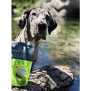 Jiminy's Cricket Treats - Chewy Hypoallergenic Dog Treats, 100% Made in The USA, Cricket Dog Treats, Gluten-Free, Sustainable, All Natural Dog Treats, High Protein - Sweet Potato & Pea, 6oz Bag