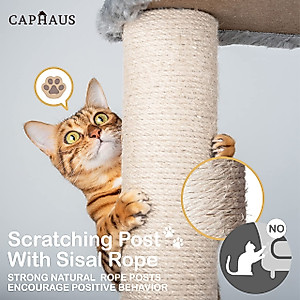 CAPHAUS 70-Inch Activity Tree with Hammock, Multi-Level Modern Cat Climbing Play Tower w Tall Top Perch, Cat Cave Condo, Indoor Cat Treew Cute Scratching Posts for Large Cats Kittens