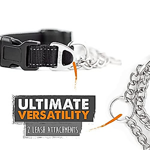 Martingale Collar, Training Dog Collar, Limited Cinch Chain Pet Gear for No Pull Dog Walking