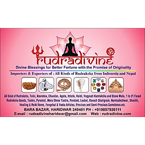 RUDRADIVINE Rudra Divine Navratan Swastik Pendant 24Ct Gold Plated With Real Semi-Precious Gemstone With Gold Plated Chain